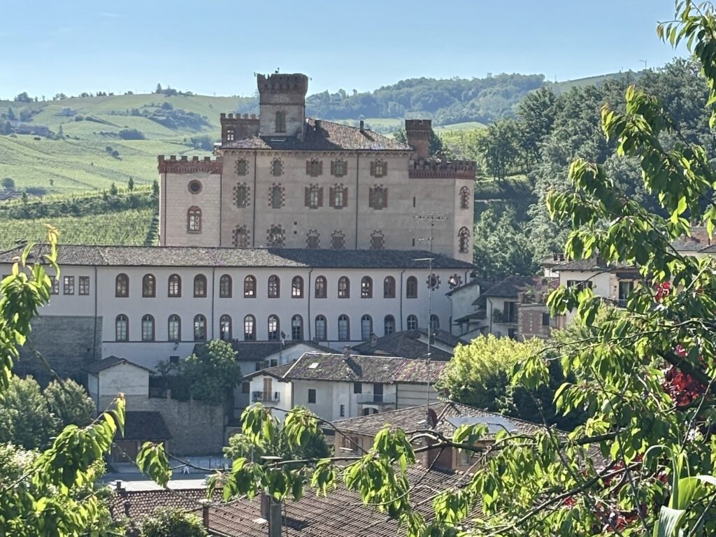 2021 Barolo And 2022 Barbaresco | The Wine Palate