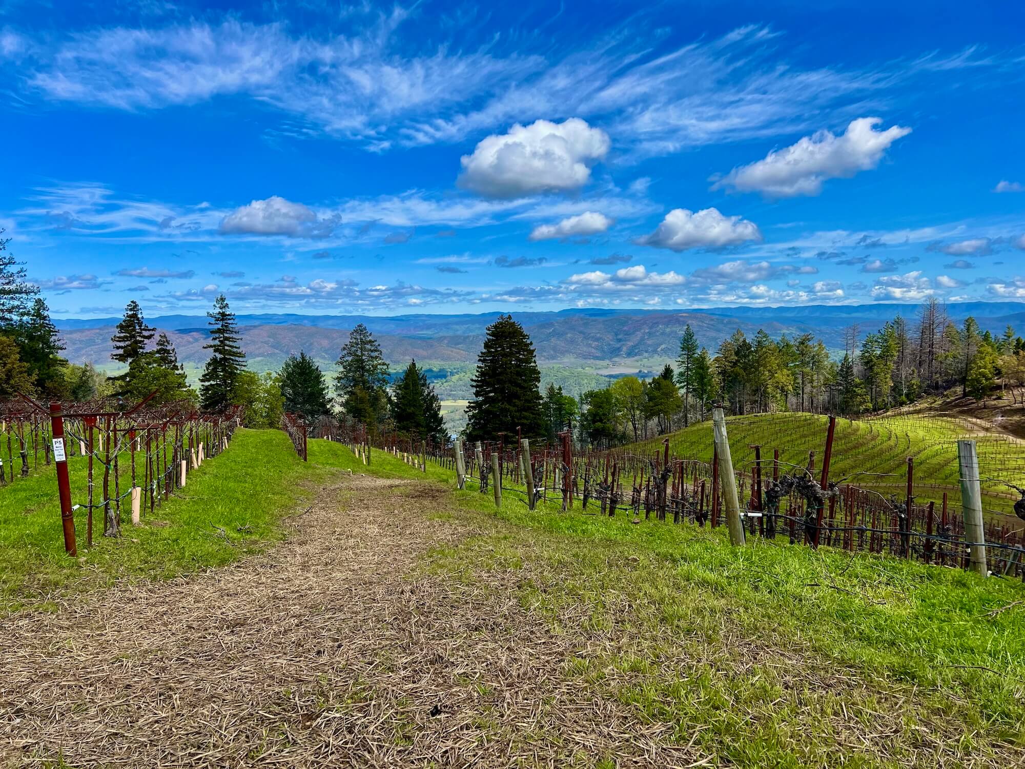 Heitz Cellar | The Wine Palate