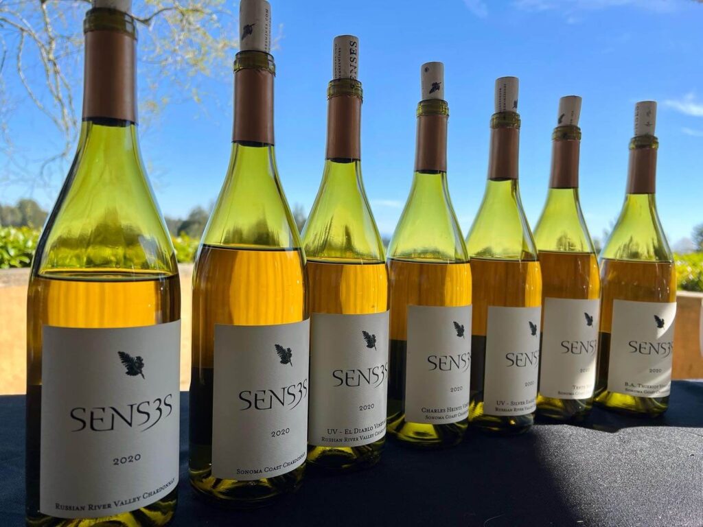 Senses | The Wine Palate